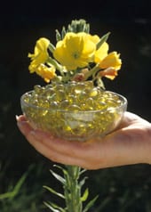 Geconjugeerd linolzuur: afvallen dankzij transvetzuren!? - Gezondr.nl